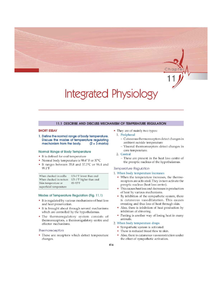 The prisma Visions Guide | PDF