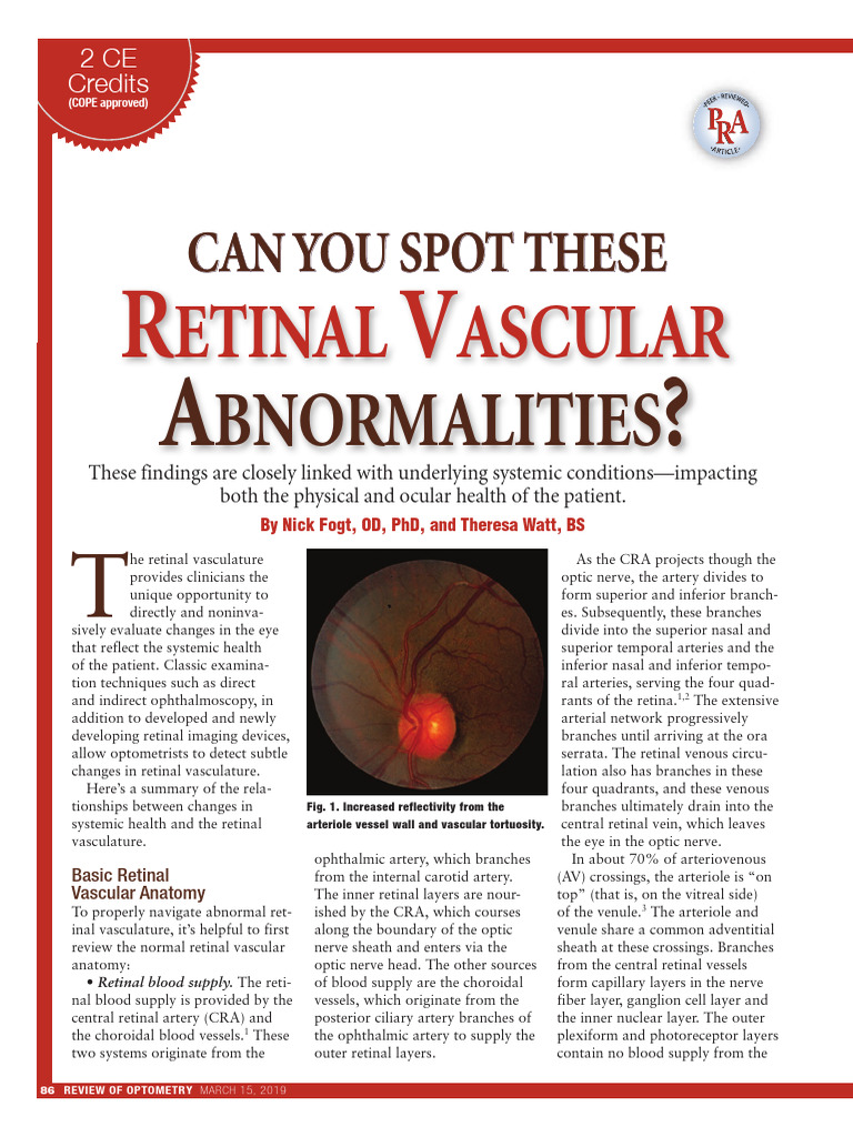 Retinal Vascular Abnormalities (Fogt) | PDF | Blood Vessel ...