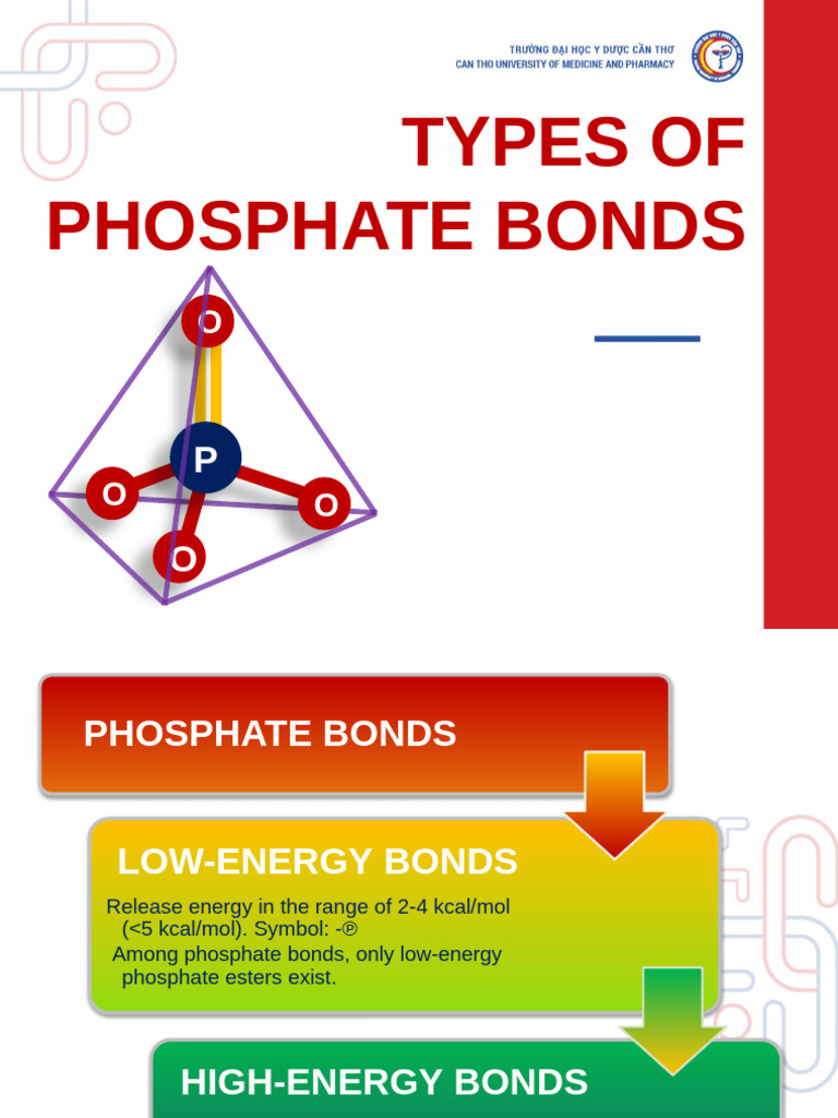 Types of Phosphate Bonds | PDF