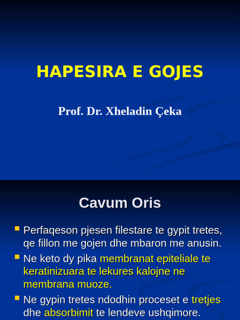 Hapesira e Gojes 2022 | PDF
