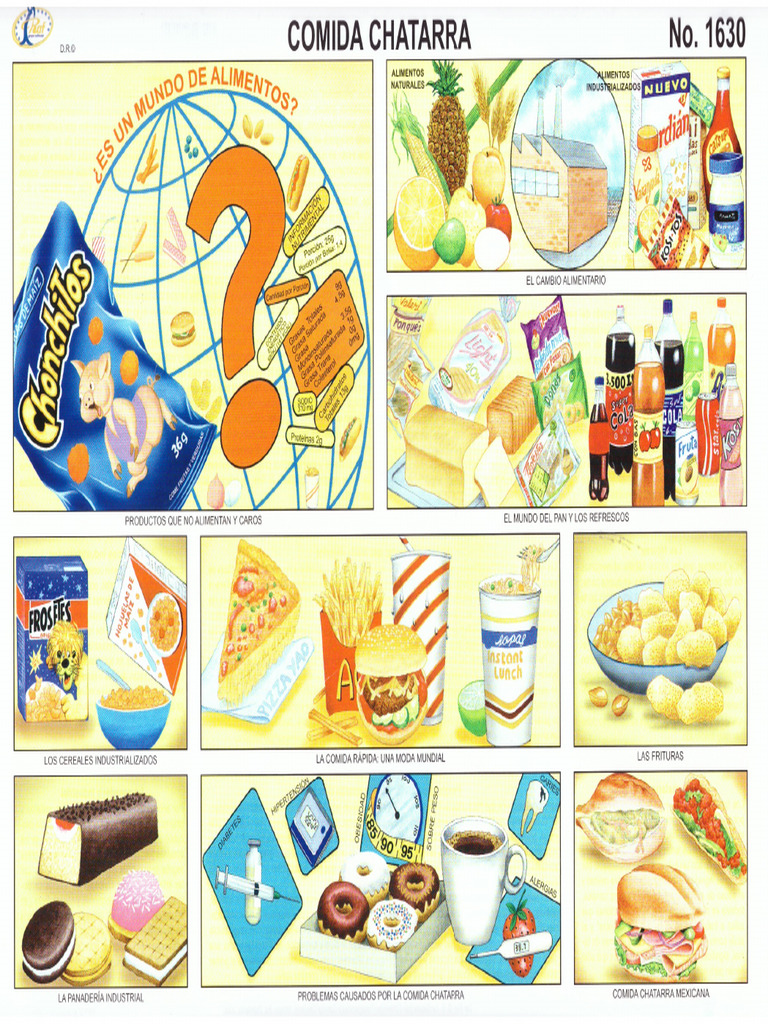 Alimentación Comida Chatarra 1 | PDF