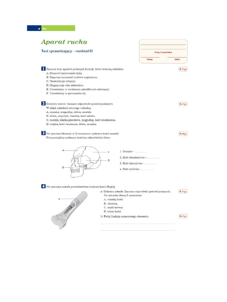 Puls Życia 7 Dział 2 Aparat Ruchu-Sprawdzian | PDF