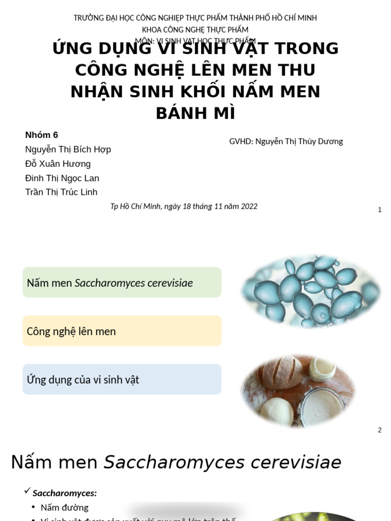 ứng dụng vsv trong CNLM thu nhận sknm bánh mì | PDF
