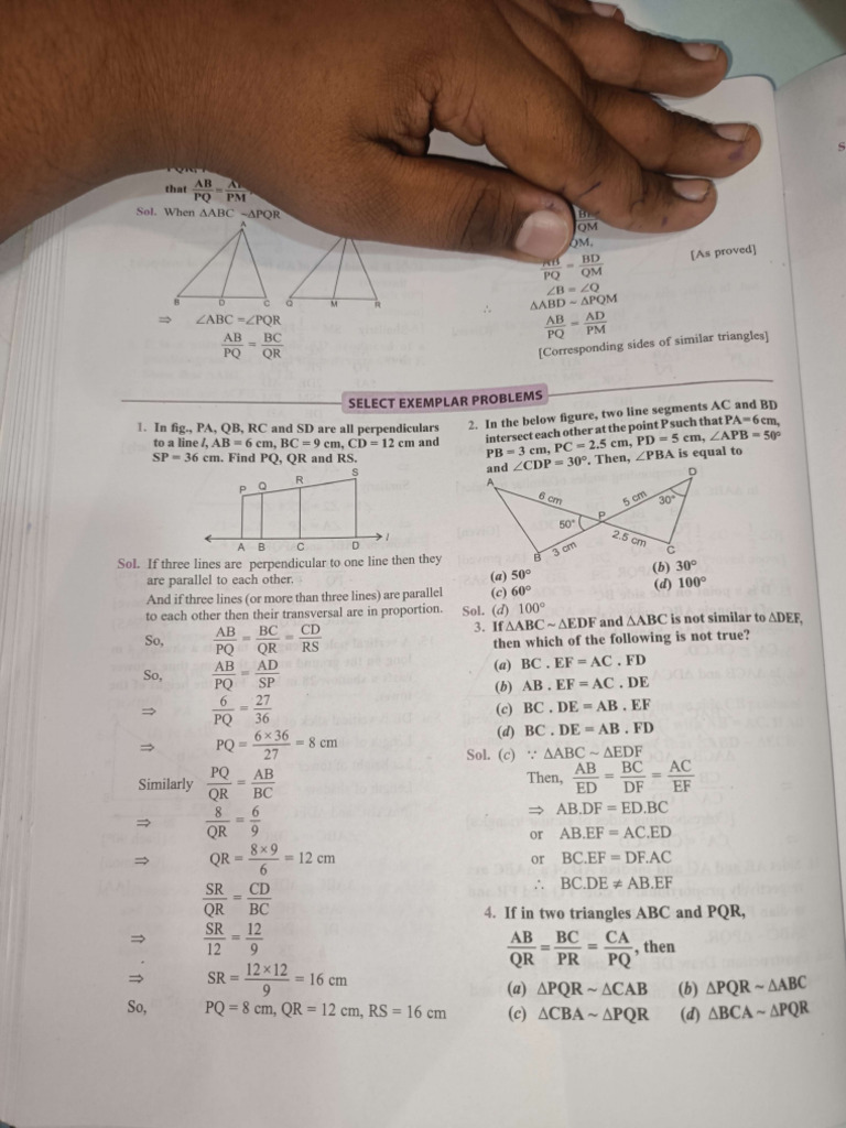 Triangles Exemplar | PDF