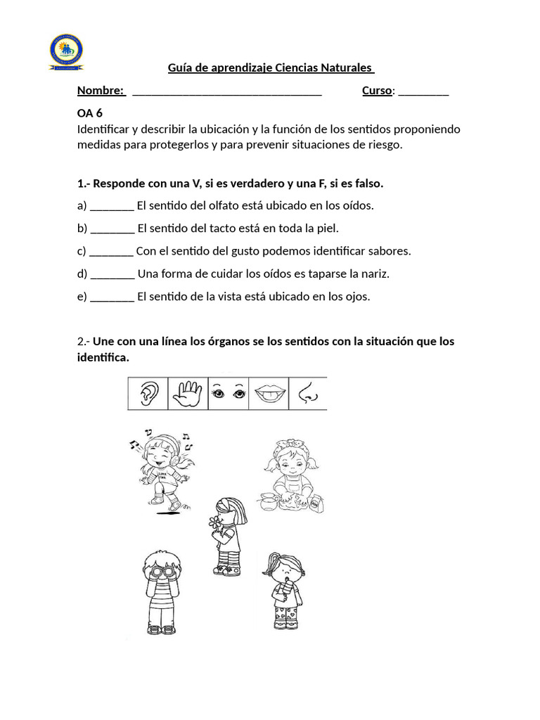 Guía de Aprendizaje Los Sentidos | PDF