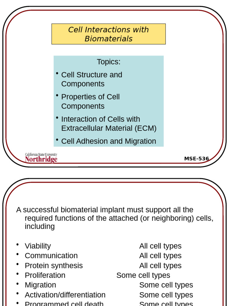Cell Interactions | PDF | Mitosis | Endoplasmic Reticulum