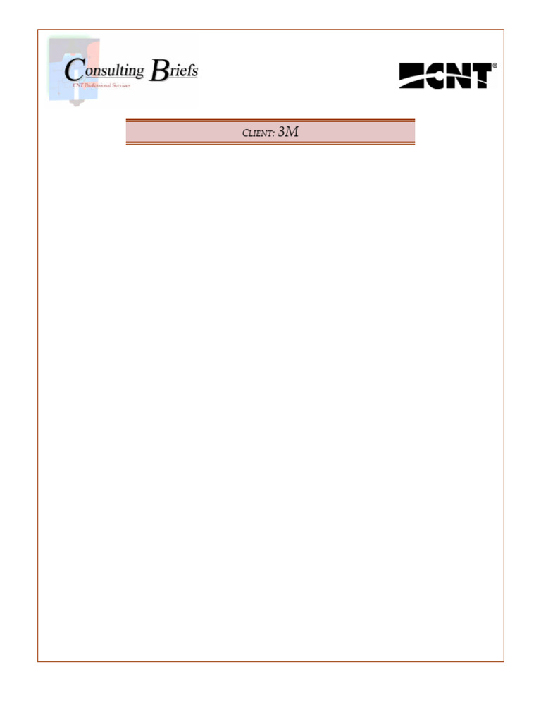 Consulting Brief - 3M v.1.0 | PDF