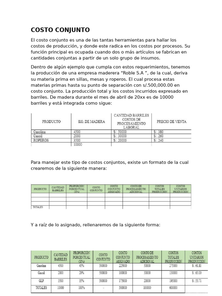 Concepto Costos Conjuntos | PDF