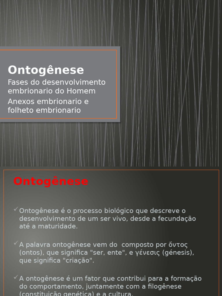 Fases da Ontogênese Embrionária Humana | PDF | Placenta | Anatomia