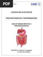 Reflejos Digestivos: Gastroileal e Ileocólico | PDF
