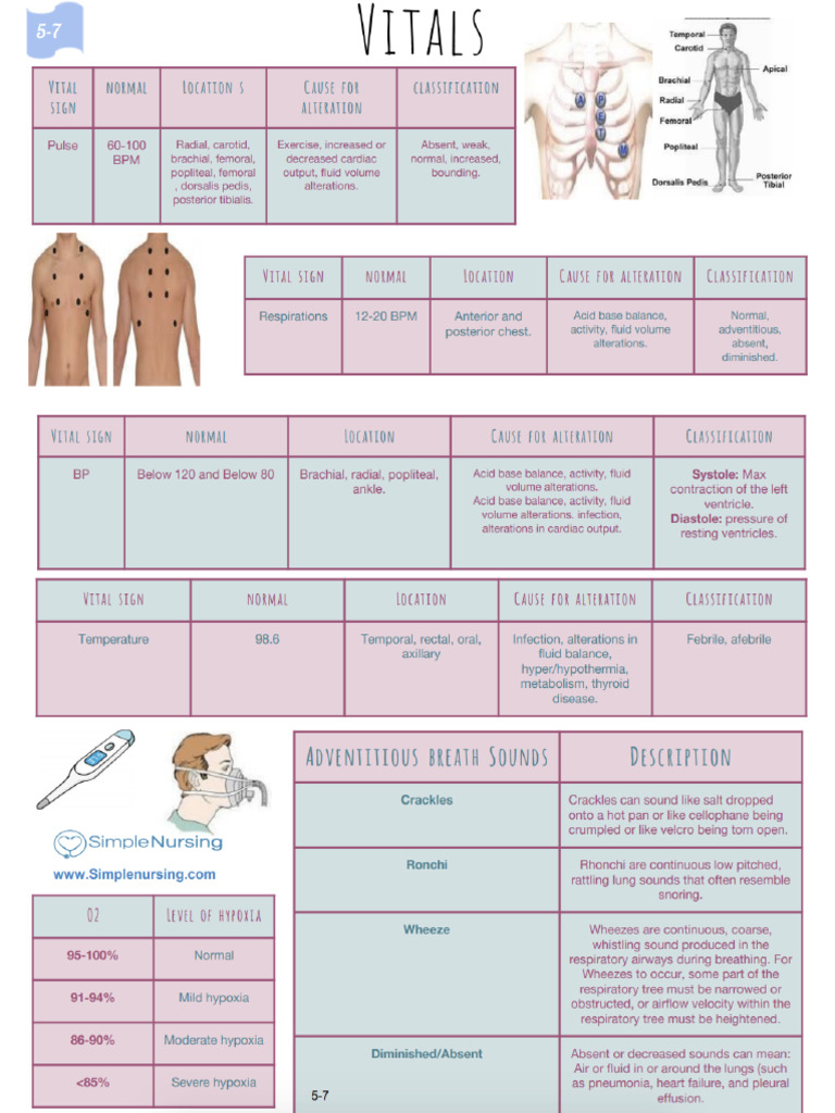 Vital Signs | PDF
