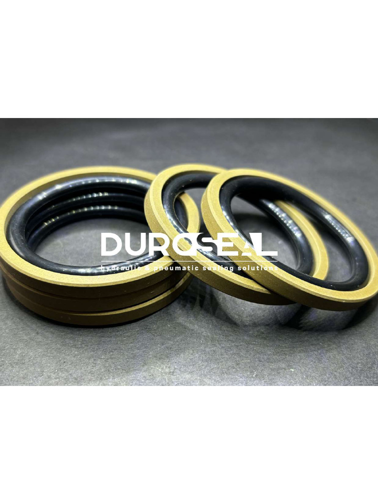 Duroseal D-Seal (SPGO) | PDF