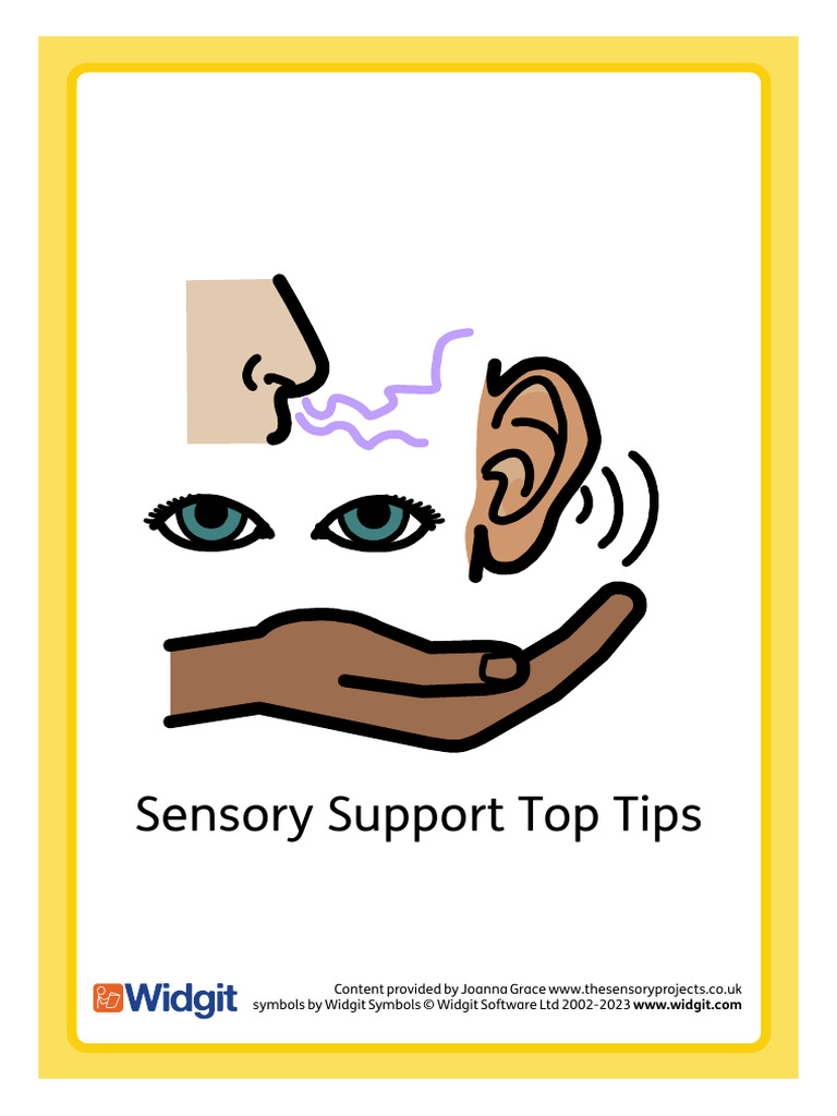 Sensory Support Top Tips | PDF | Penguin | Senses