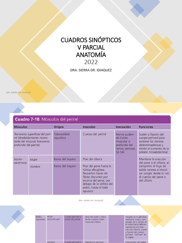 CUADROS SINÓPTICOS | PDF