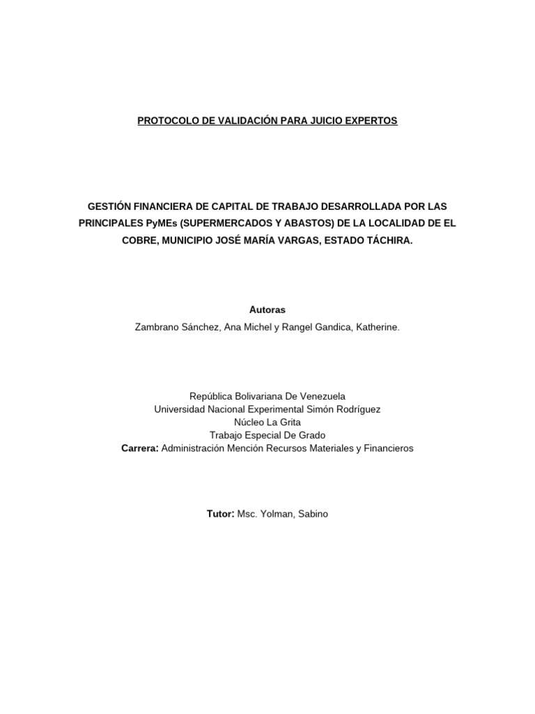 Protocolo de Validación para Juicio Expertos El Cobre | PDF | Capital de trabajo | Business