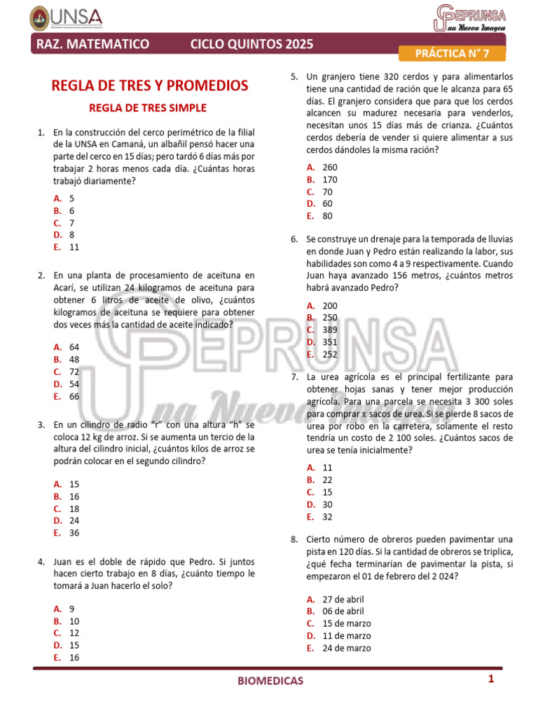 Raz Matematico Practica 7 | PDF