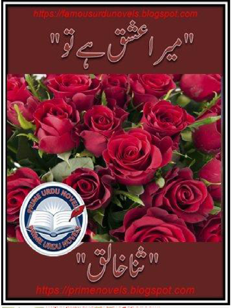 Mera Ishq Hai Tu by Sana Khaliq Complete Free Download in PDF | PDF