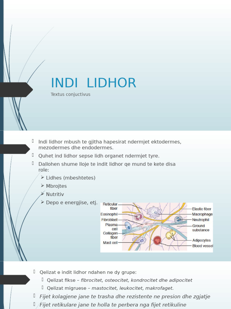 Indi Lidhor | PDF