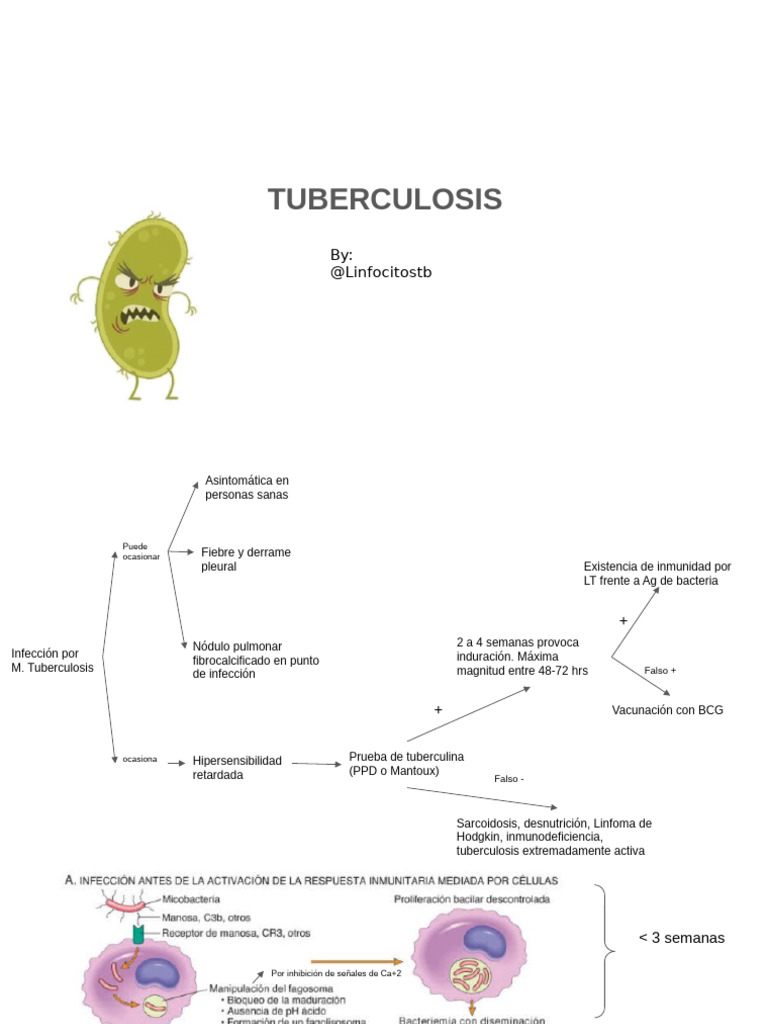 Tuberculosis Robbins Patologia | PDF | Tuberculosis | Inmunología