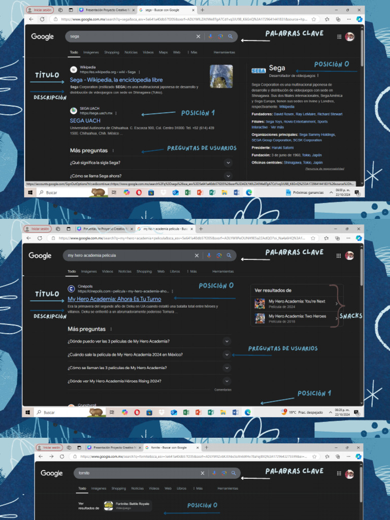 La SERP y Sus Elementos | PDF