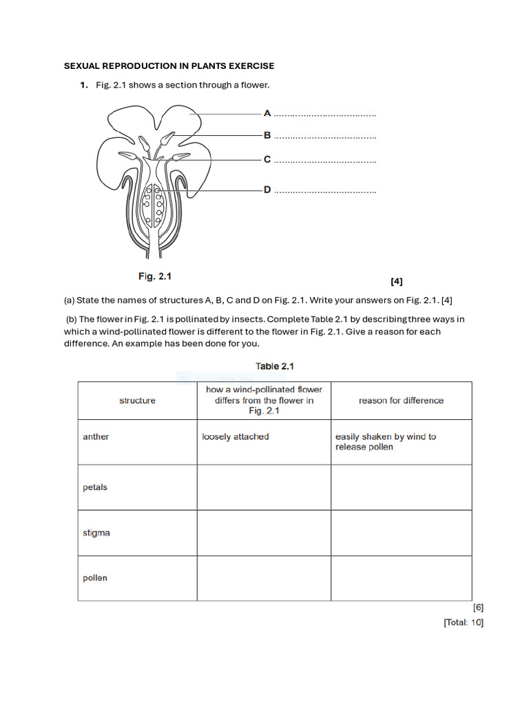 Sexual Reproduction in Plants Exercise | PDF