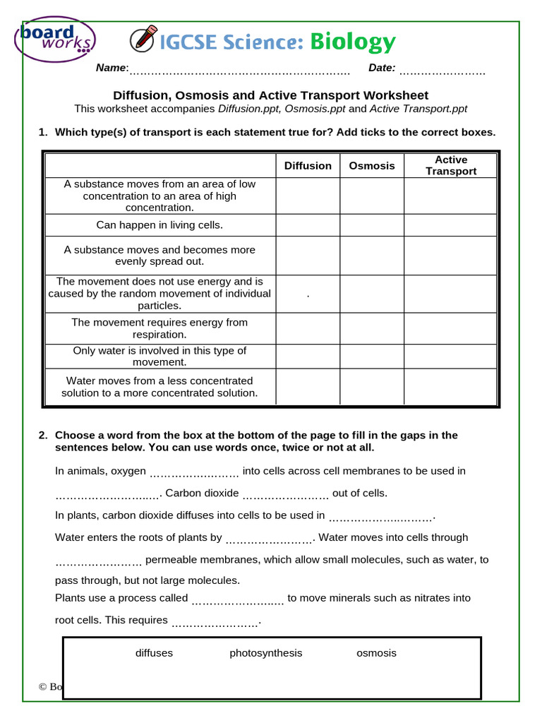 Diffusion Osmosis and Active Transport Worksheet | PDF | Osmosis ...