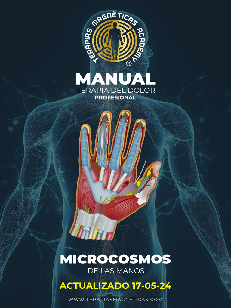 Microcosmos de La Mano | PDF | Sistema digestivo humano | Especialidades Medicas