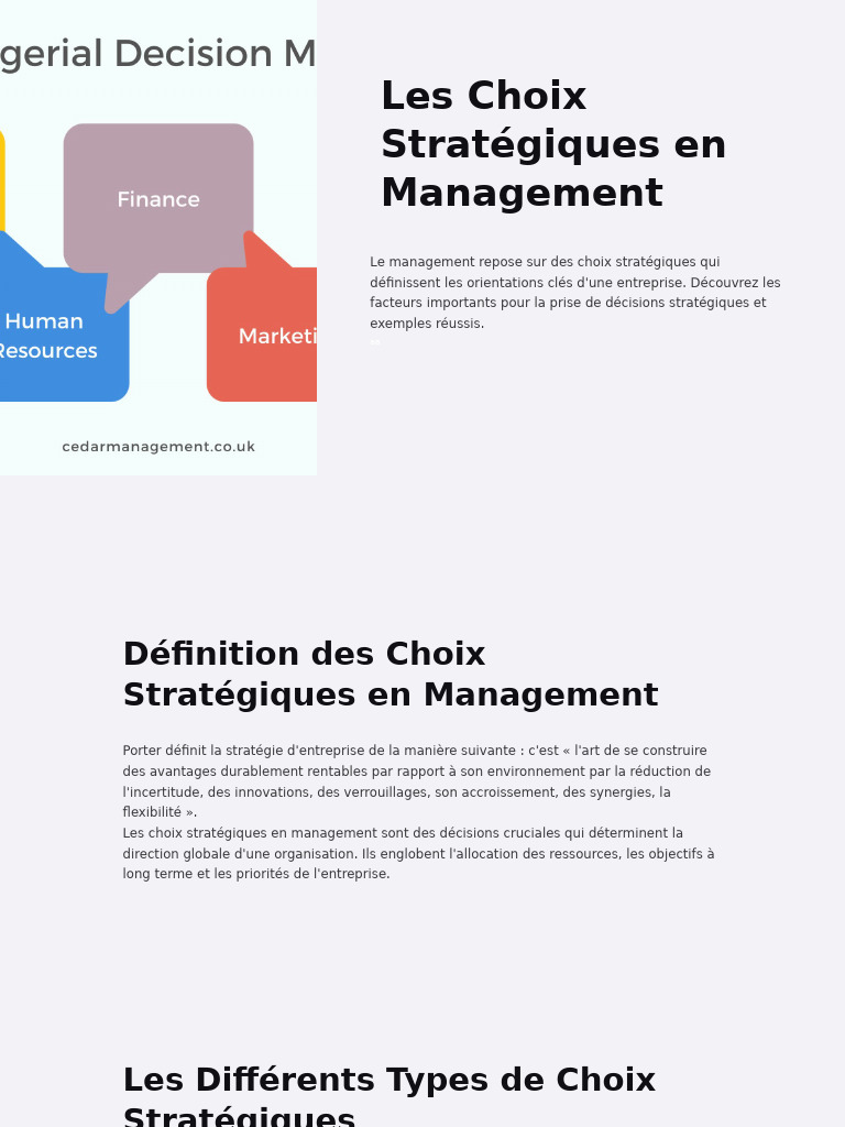 Choix Stratégiques en Management | PDF | Business | Gestion stratégique