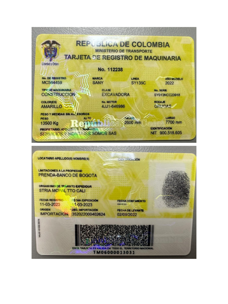 DOCUMENTOS TP, MANIFIESTO IMP, FACTURA, RUNT GPS (7) | PDF