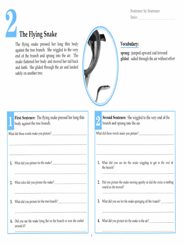 3.A.2 Visualizing and Verbalizing | PDF | Lepidosaurs | Squamata