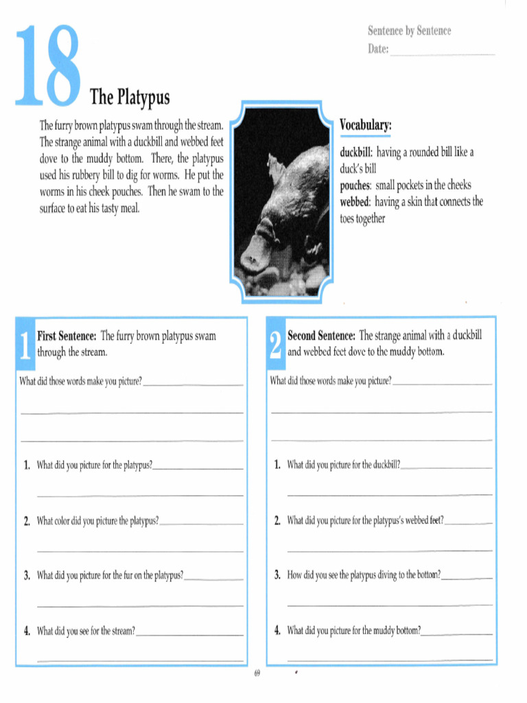 3.A.18 Visualizing and Verbalizing | PDF