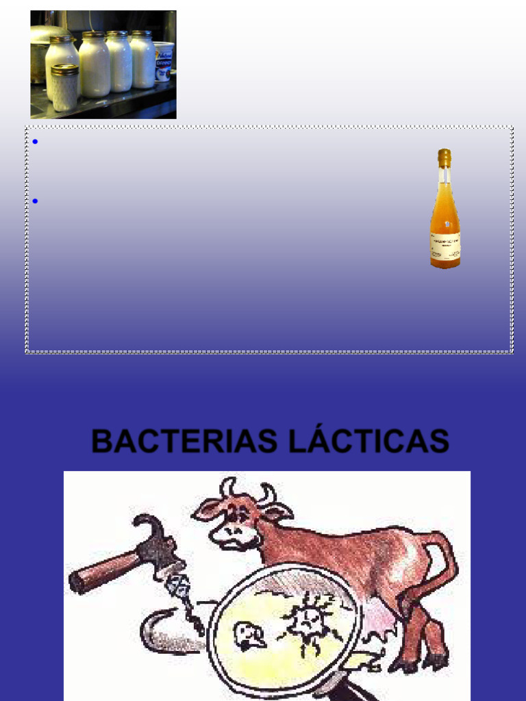 UNIDAD IV 2 Bacterias Lácticas y Acéticas | PDF | Vinagre | Fermentación