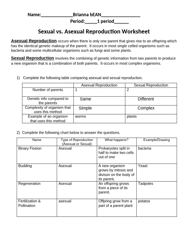 Sexual and Asexual Reproduction Worksheet | PDF | Sexual Reproduction ...