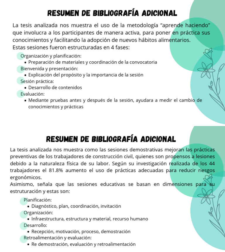Resumen de bibliografía adicional (1) | PDF