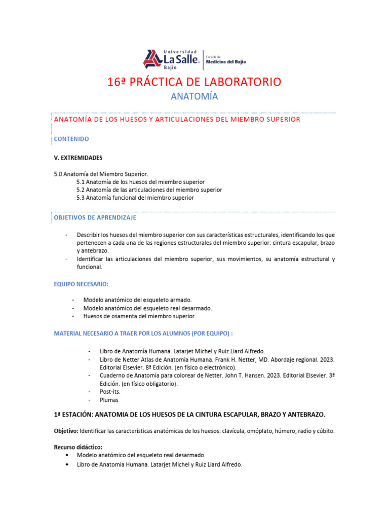 16a Práctica Lab Anatomia Huesos y Art Del Miembro Superior | PDF ...