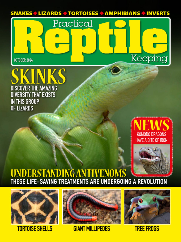 Practical Reptile Keeping 10 2024 Freemagazines Top | PDF | Komodo Dragon | Reptile