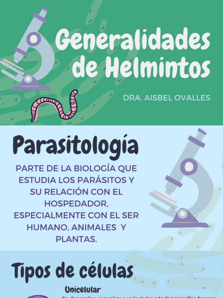 Laboratorio Fauget - 20241029 - 200215 - 0000 | PDF | Nematodo