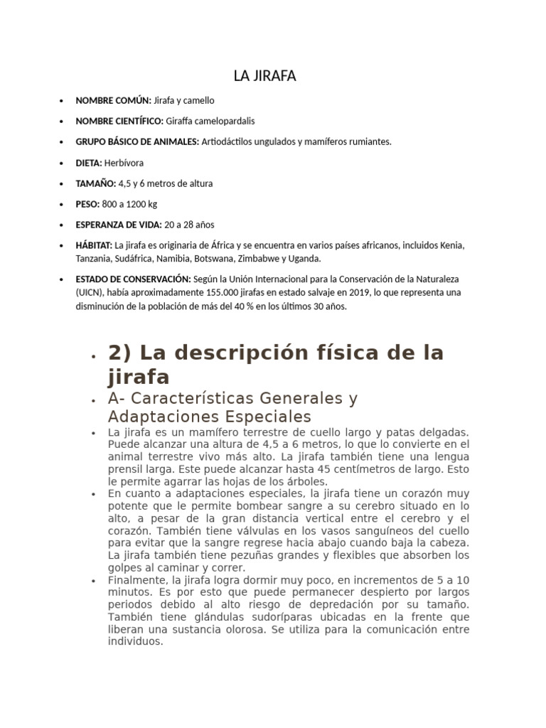 LA JIRAFA | PDF | Piel