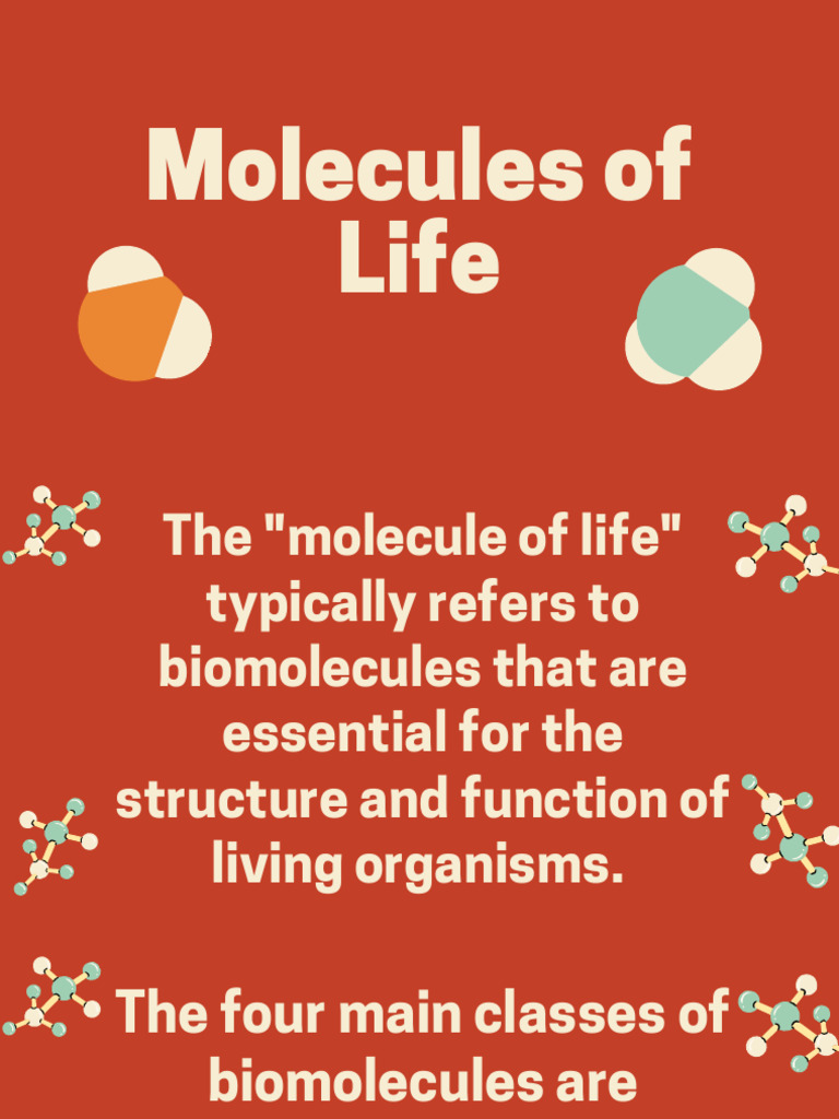 Molecules of Life | PDF | Science & Mathematics