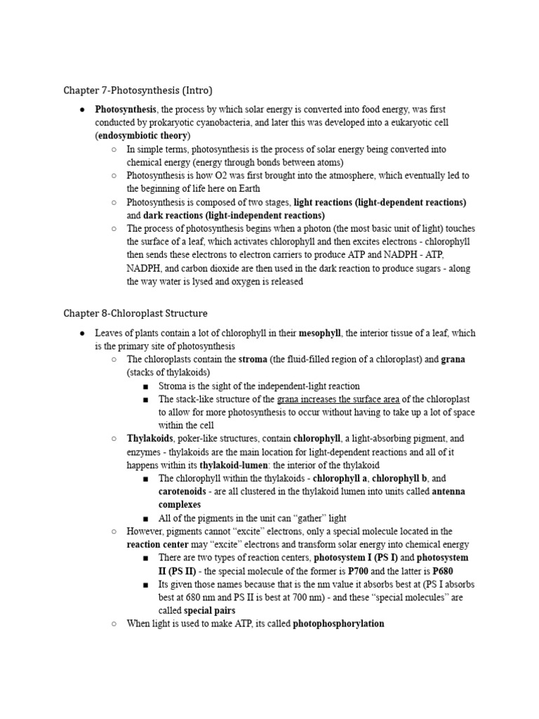Photosynthesis study Guide for Tests | PDF | Photosynthesis | Chloroplast