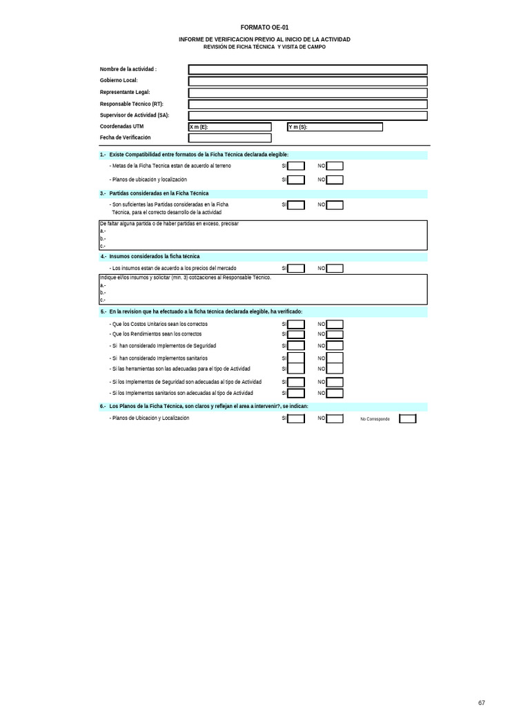 Formatos (OE) Actividad | PDF | Science | Presupuesto