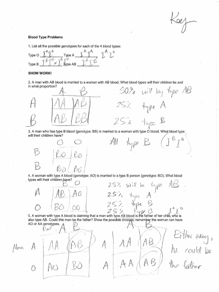 Blood Type Ws Key | PDF