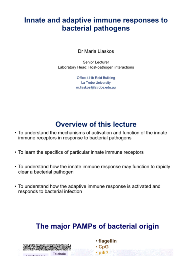 Liaskos Medical Bacteriology Lecture 3 | PDF | Bacteria ...