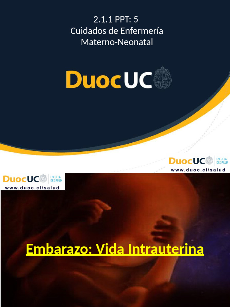 2.1.1 PPT5 Embarazo Vida Intrauterina | PDF | El embarazo | Feto