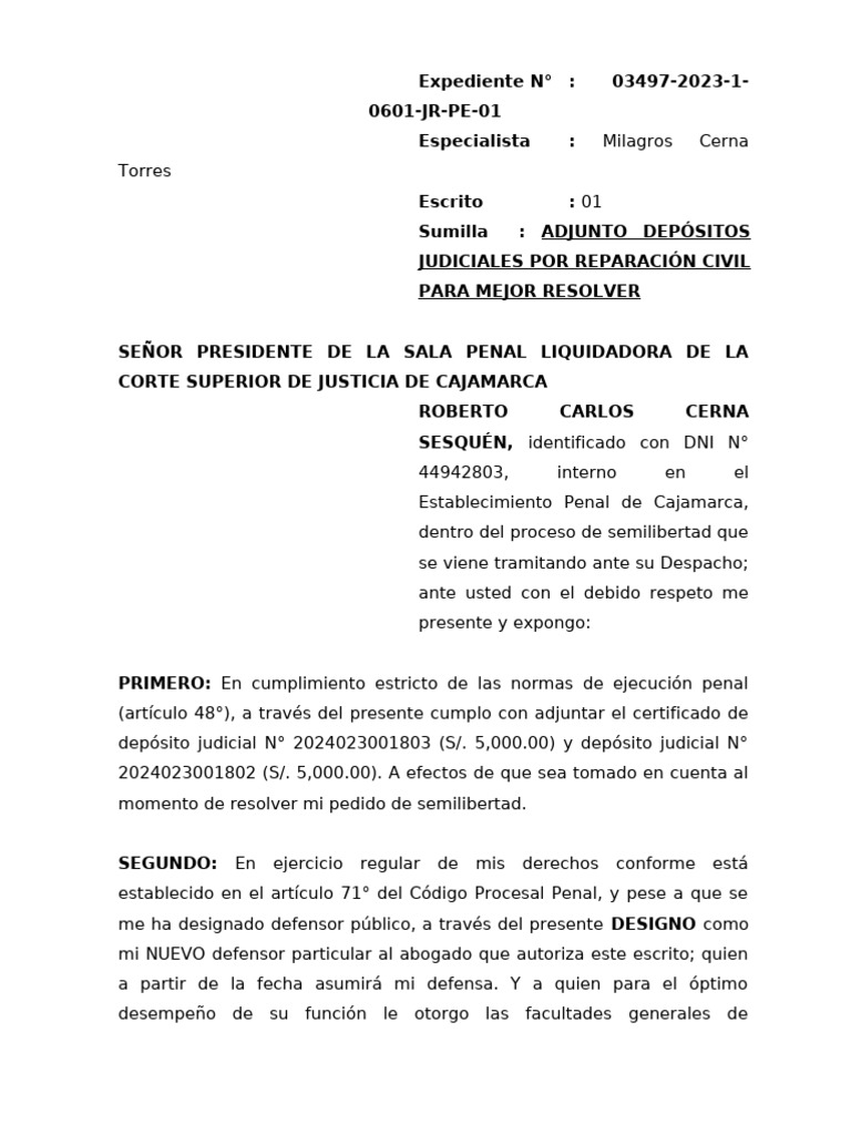 Designo Nuevo Abogado Defensor | PDF | Ley procesal | Judicaturas