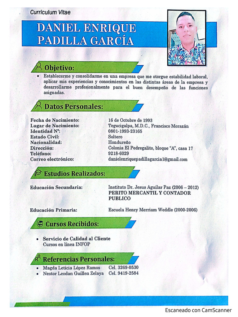 CV Daniel Padilla | PDF