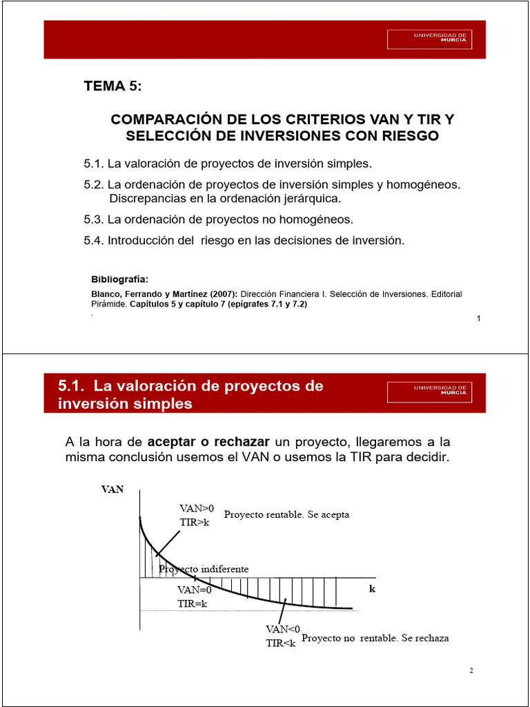 Tema5 DFI | PDF | Análisis de sensibilidad