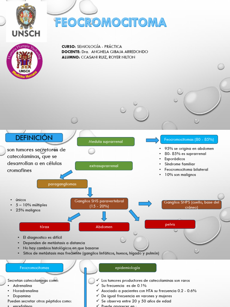 FEOCROMOCITOMA | PDF | Enfermedades y trastornos | Especialidades Medicas