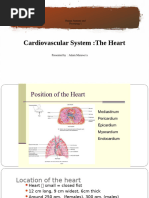 Anatomy Heart Cadaver | PDF | Heart Valve | Coronary Circulation