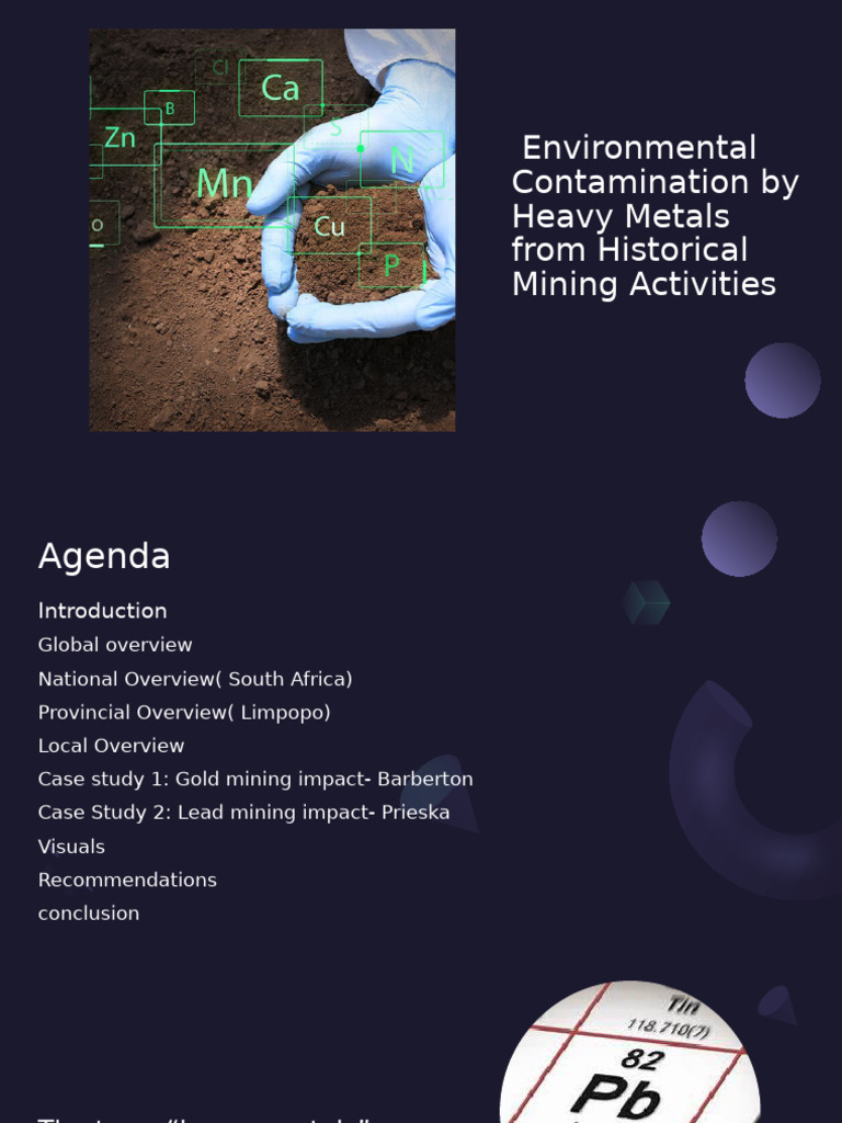 Environmental Contamination by Heavy Metals From Historical Mining ...